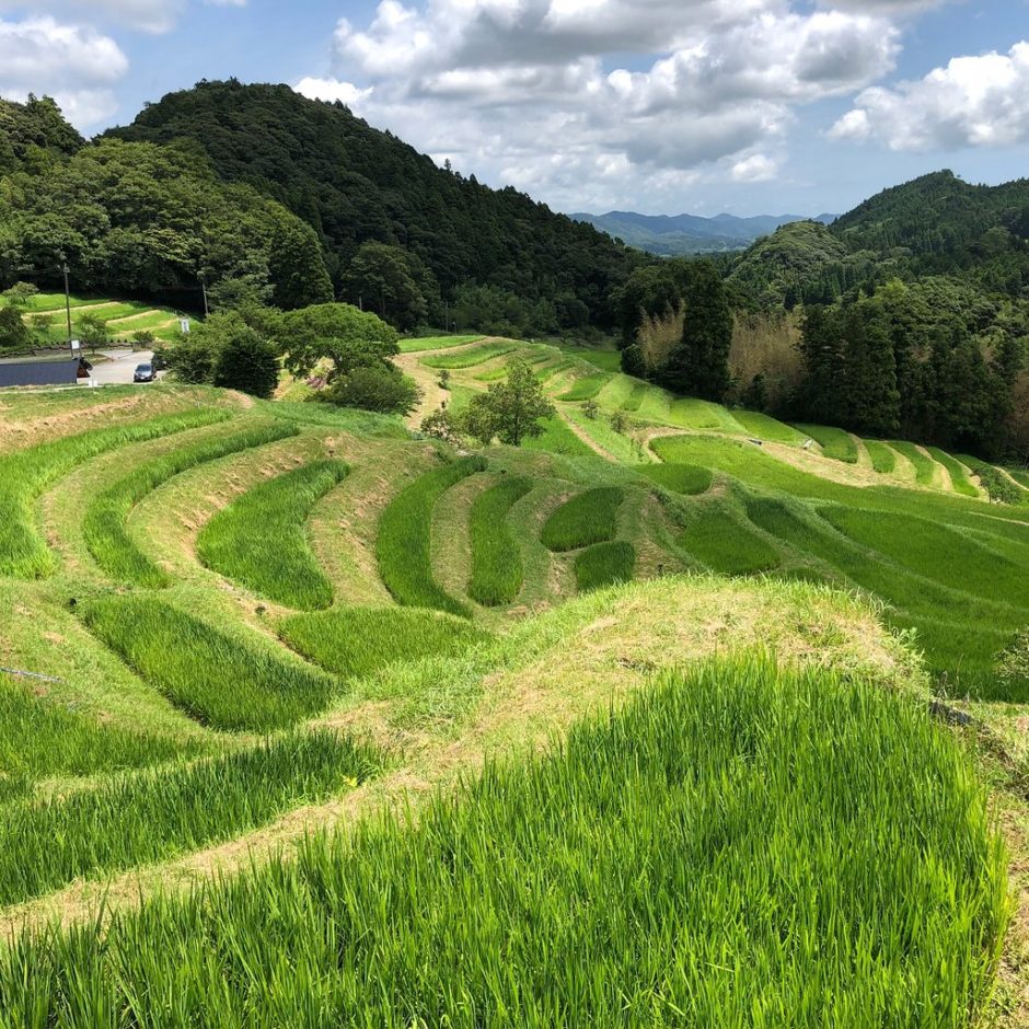 5 Beautiful terraced paddy field “Tanada “ | Unique Japan