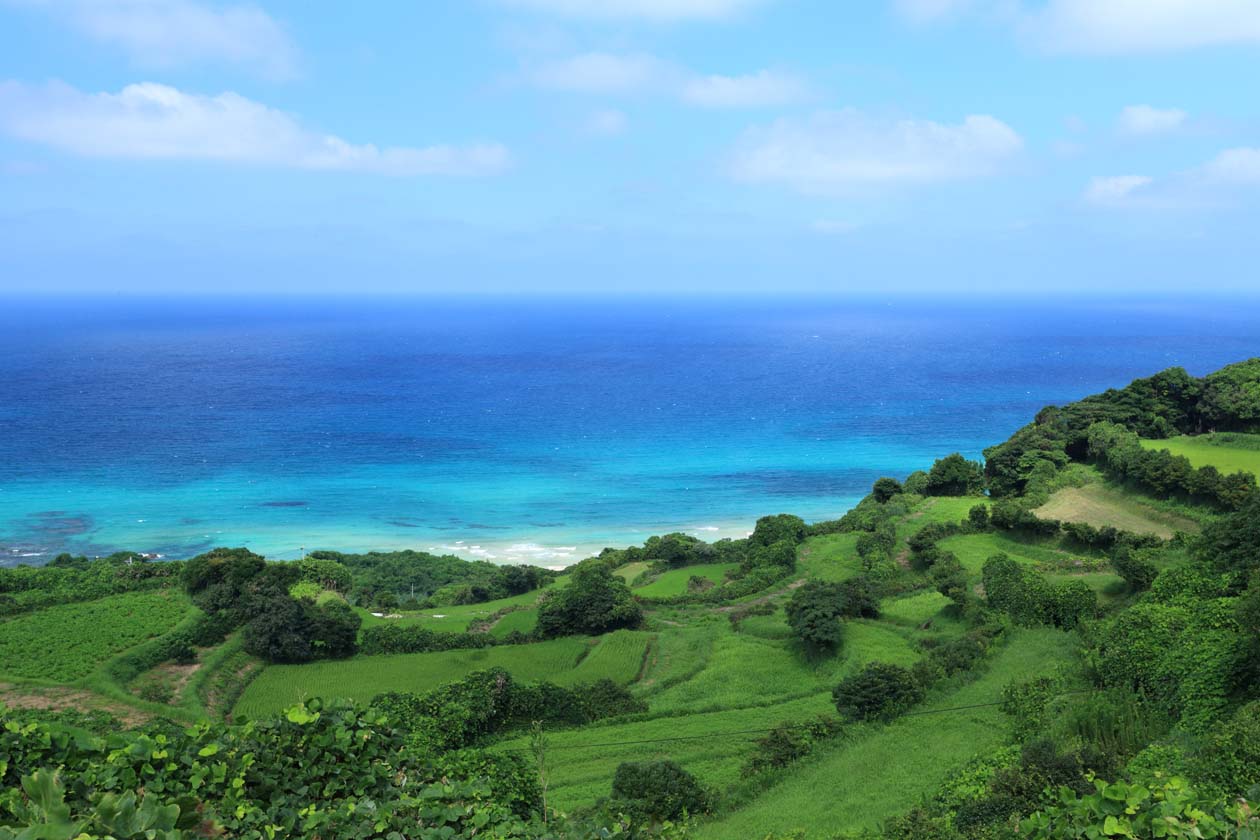 5 Beautiful terraced paddy field “Tanada “ | Unique Japan